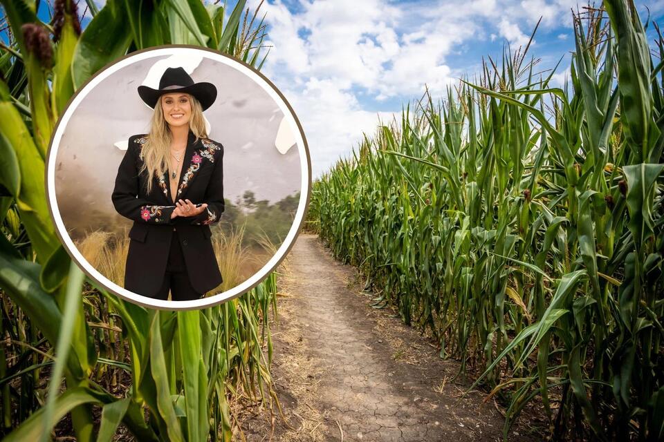 Get Lost with Lainey: Corn Maze in Kentucky Honors Lainey Wilson ...