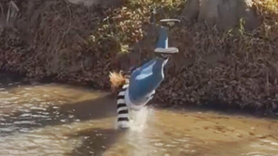 Slapstick moment woman's zip line adventure ends with epic fail - NewsBreak