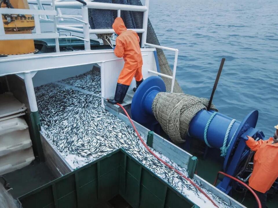 Lawsuit from commercial fisherman becomes monumental Supreme Court case ...