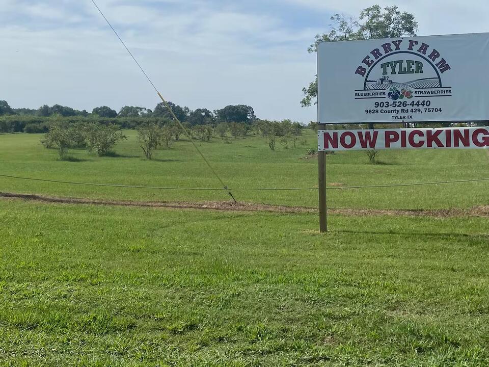 Tyler Berry Farm celebrates 40 years with summer festival