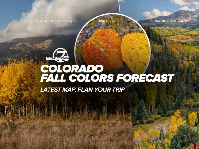 Fall colors in Colorado 2025: Forecast map, why this year's show might ...