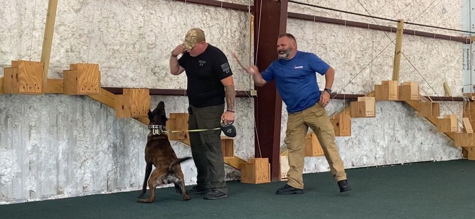 Marion County K9 Team completes annual recertification training - NewsBreak