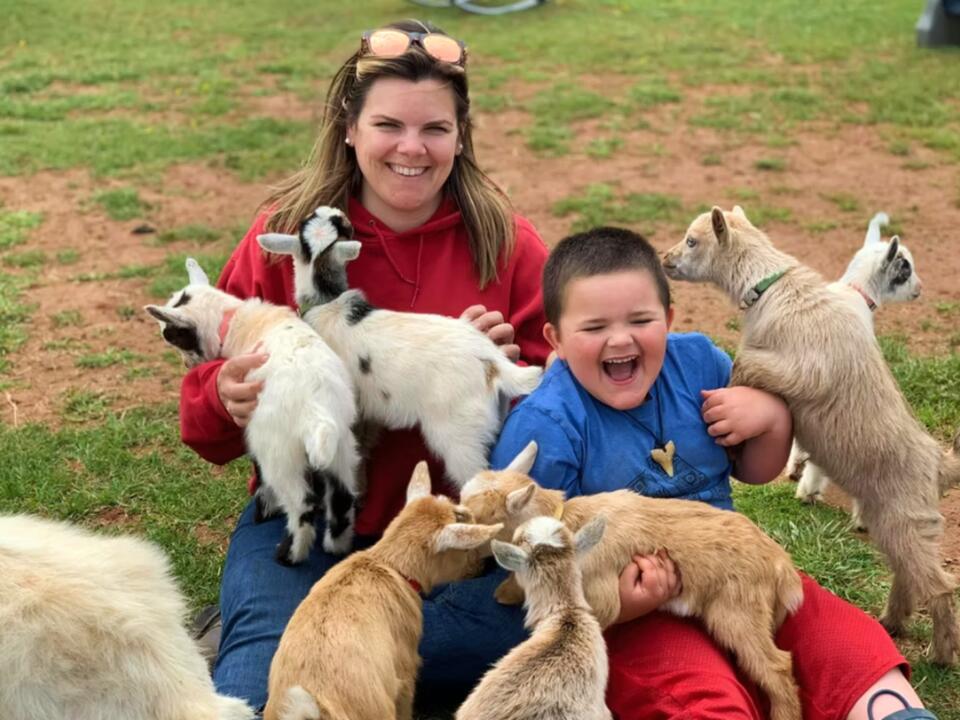 Rapp Farm Tour returns with new and visitor-favorite venues - NewsBreak