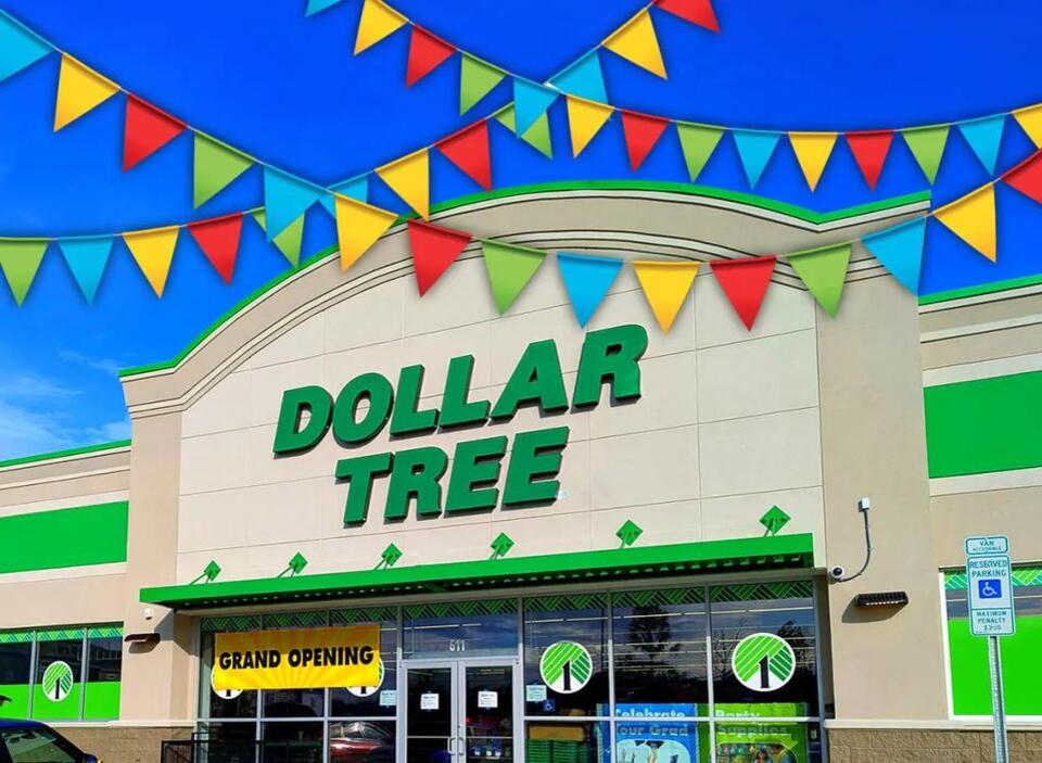 7 Best New Dollar Tree Home Finds Under $7 in Stores This Week - NewsBreak