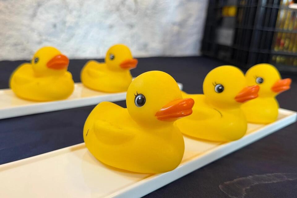 Meet the Winning Ducks of 2025 - NewsBreak