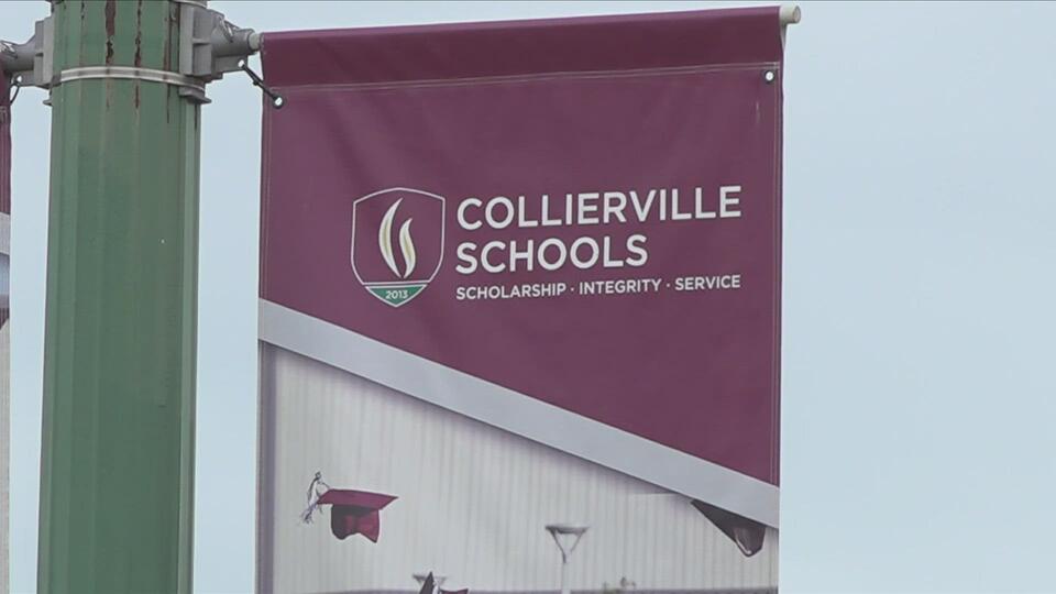 Acclaimed Collierville High School girls' basketball head coach let go ...