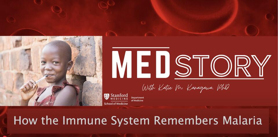 How the Immune System Remembers Malaria - NewsBreak
