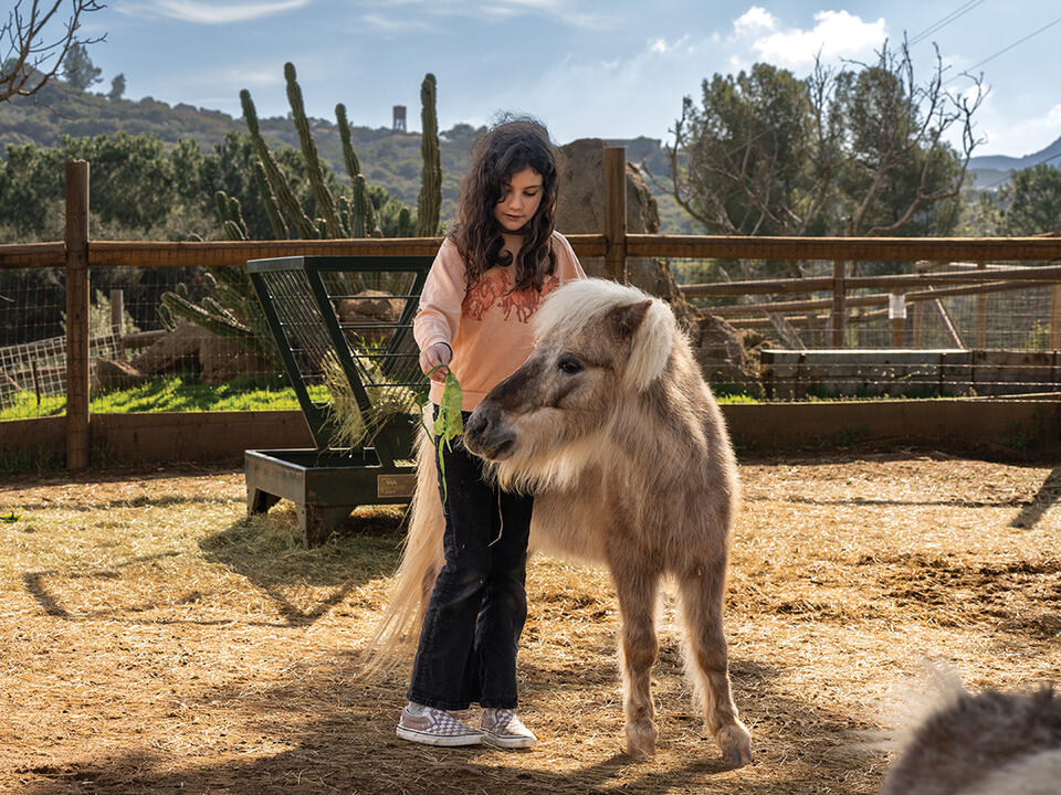 San Diego Animal Sanctuary & Farm offers peace to furry residents and ...