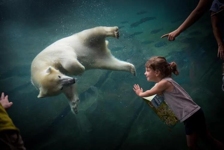 Ex-Columbus Zoo executive pleads guilty to theft - NewsBreak