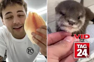 Viral Video of the Day for December 31, 2025: Baby otter tries fish for ...