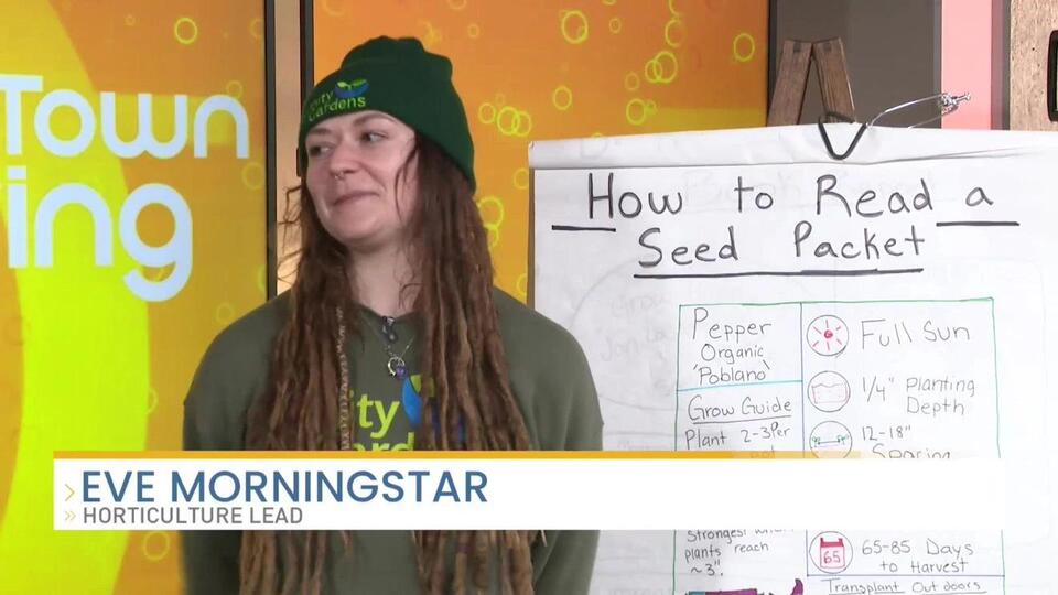Eve plants a seed to sprout forth your gardening mastery - NewsBreak