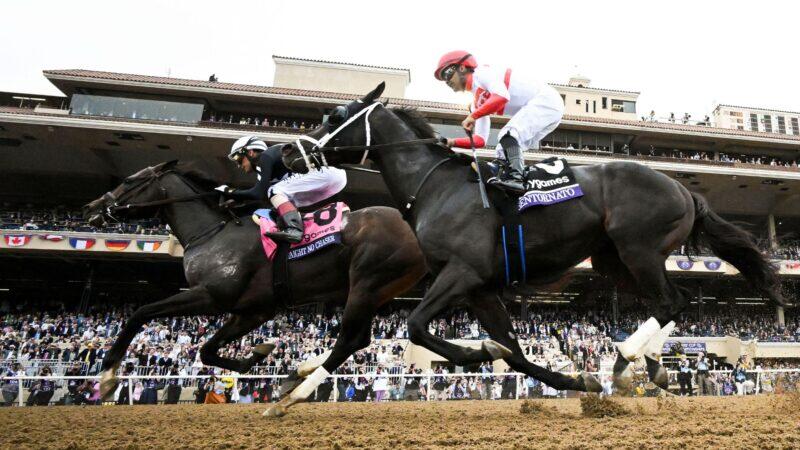 Tragedy Strikes At Horse Race Track As 27-Year-Old Dies After ...