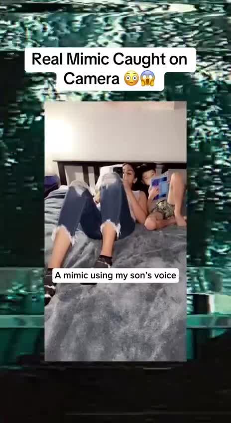 Real Mimic Caught onCameraA mimic using my son's voice - NewsBreak