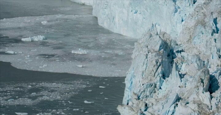 Antarctica’s only native insect is being driven to extinction by global ...