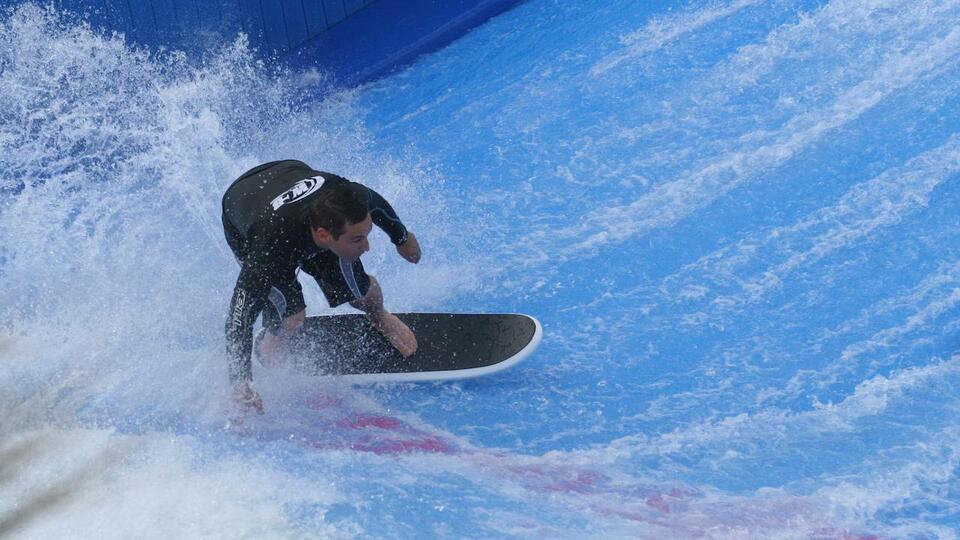 Termite company owes $6 million to Alabama amusement park, arbitrator ...