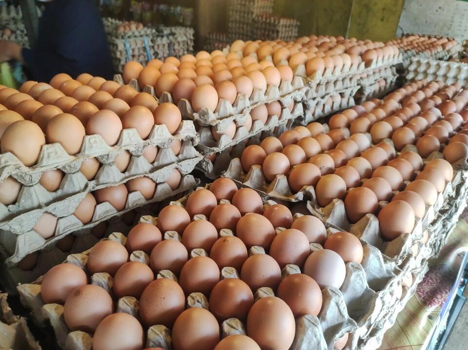 Pa. shipment of eggs worth $40K stolen amid sky-high egg prices - NewsBreak