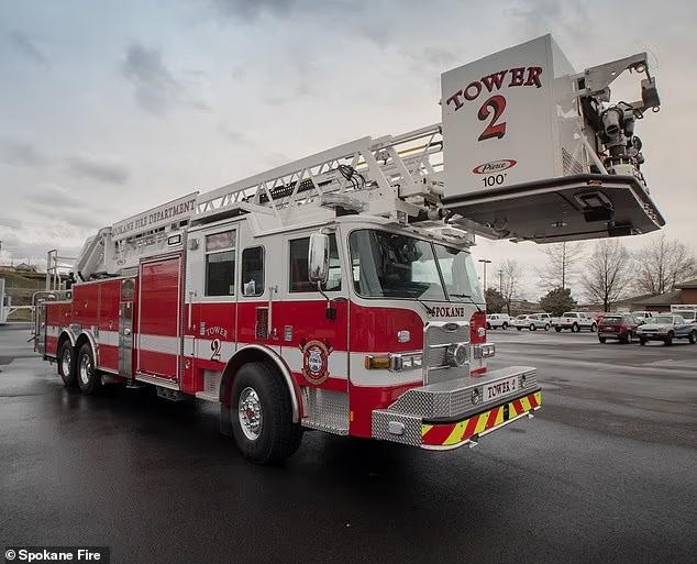 Fight breaks out over beloved celebrity cat being given ride on fire ...