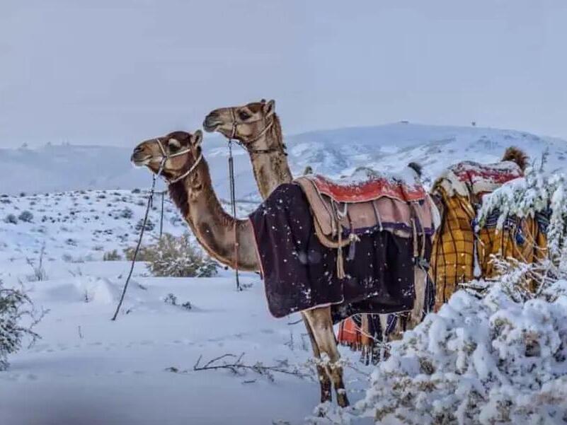 [PHOTOS] Desert in Saudi Arabia Sees Snow for 1st Time in Recorded History