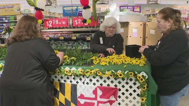 Preakness Stakes 2025: How to watch, start time, TV channel, post ...