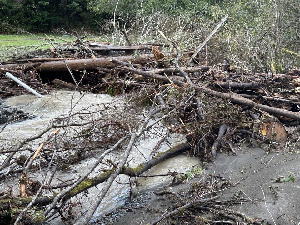 Indian Creek Hatchery Bounces Back After Devastating Storm - NewsBreak