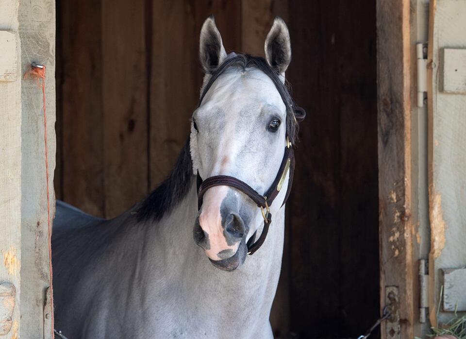 Op/Ed: Why Is It That This Sport Has So Many Problems With Transparency ...