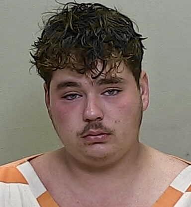 Teen driver arrested on DUI charge after ditching pickup - NewsBreak