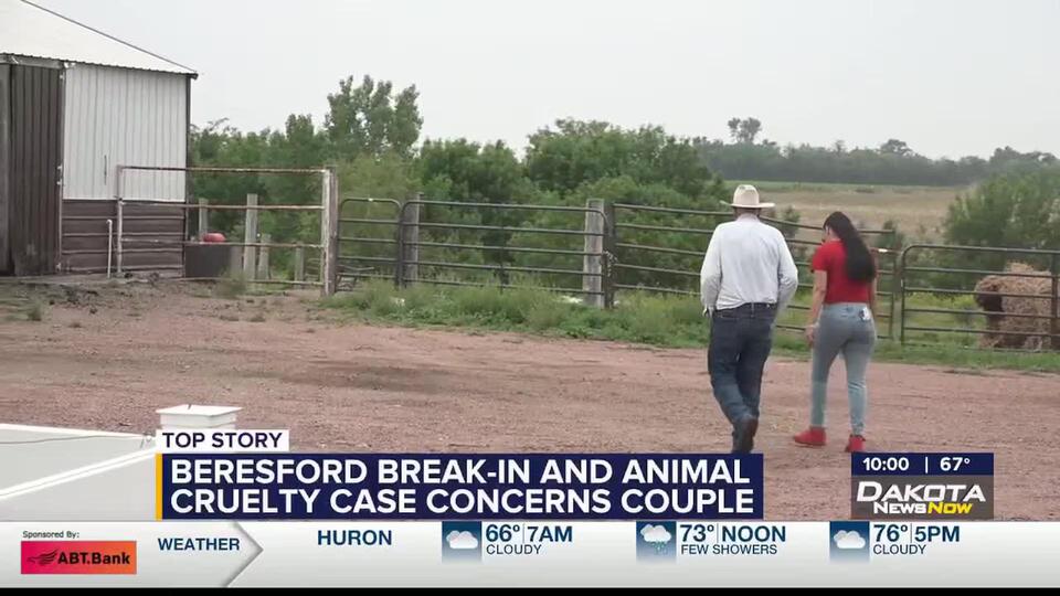 ‘We looked at the donkey’s tail, and it was gone’: Beresford break-in ...