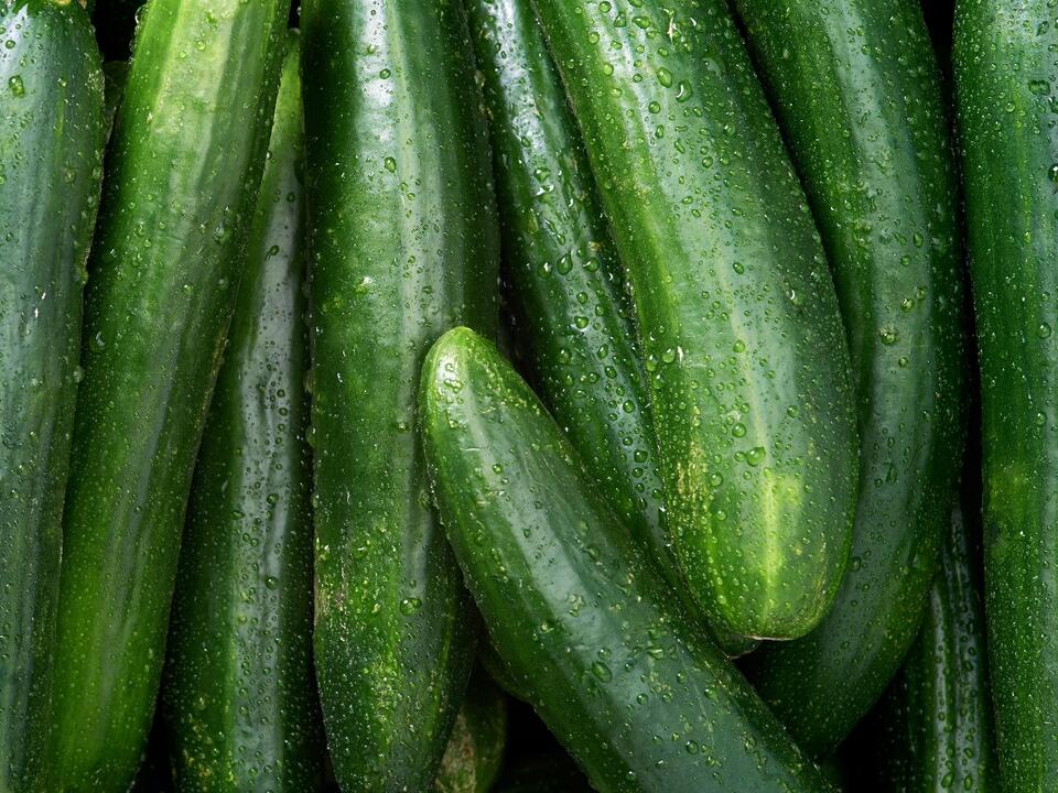 Recall issued by some cucumbers sold at select Walmart stores in Ohio ...