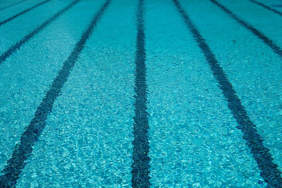 Olympic Swim Pool Project Promises $21 Million Annually in New Haven ...