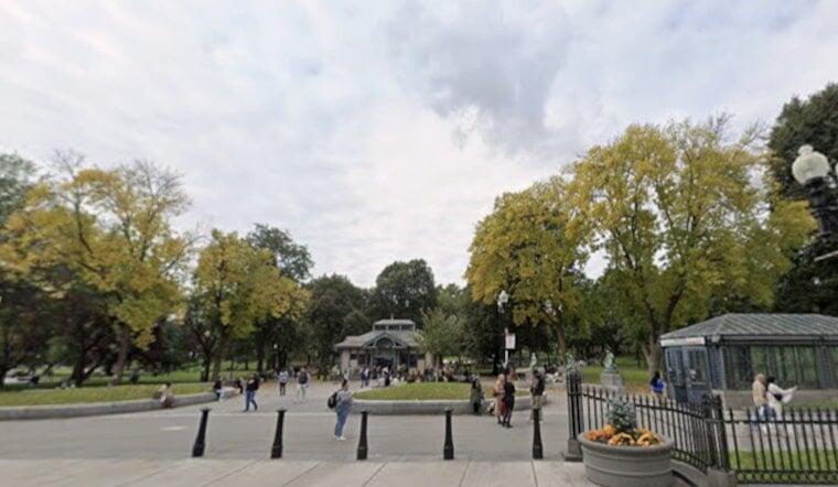 Boston Mayor Michelle Wu to Host 84th Annual Boston Common Tree ...