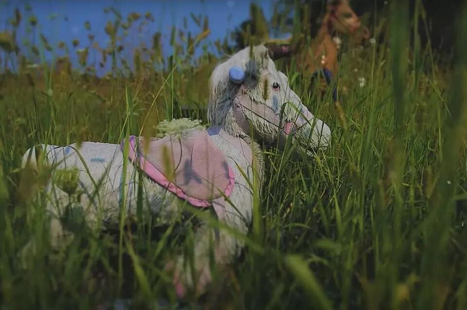 Haunting Mystery Behind This Bizarre Rocking Horse Graveyard in ...