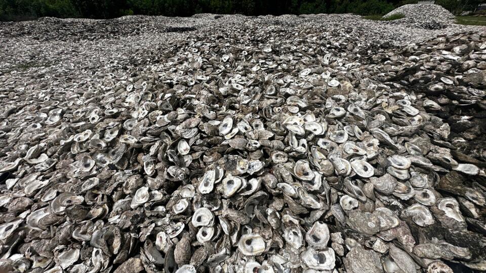 Louisiana sees shells as more than just dinner waste - NewsBreak