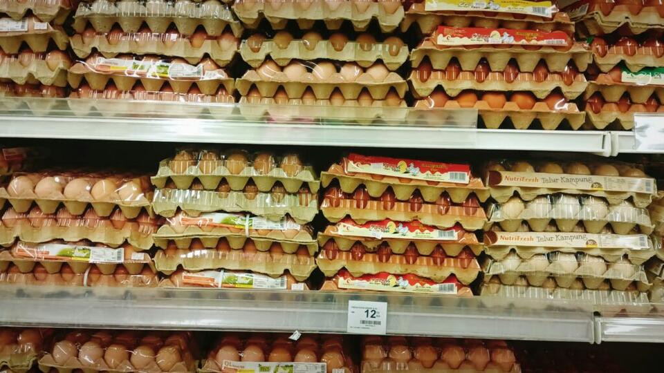 Egg prices are forecast to drop 29.8% in 2026 — the biggest annual ...
