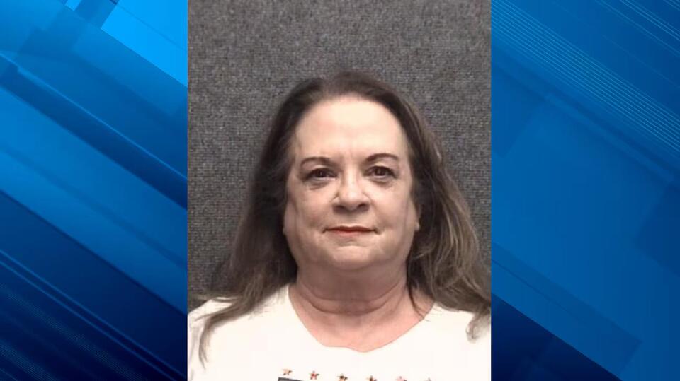 Woman accused of brandishing gun at SC ‘No Kings’ rally, police say ...