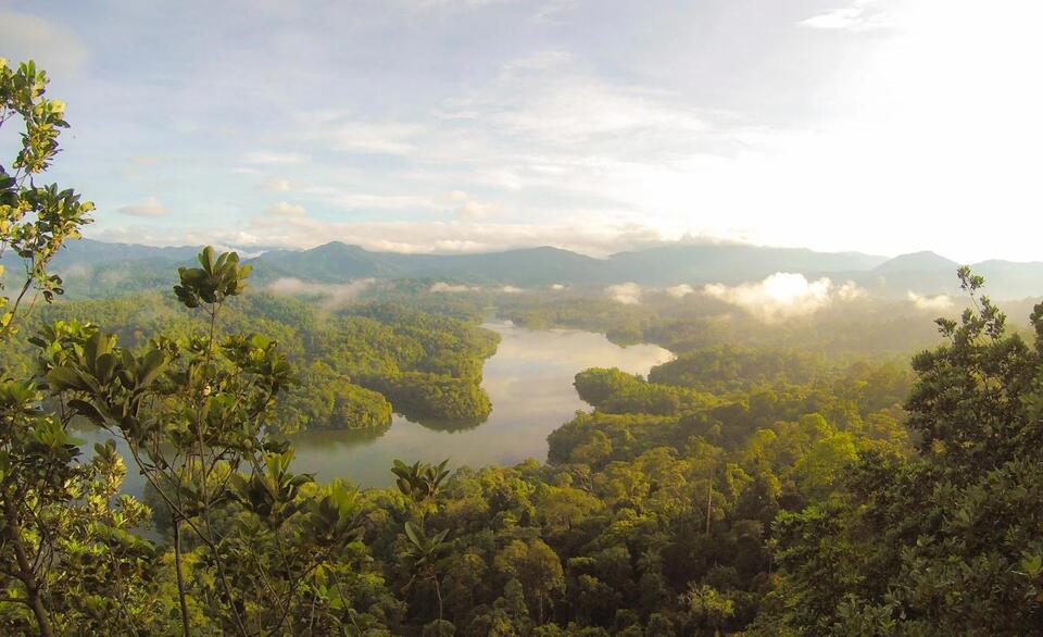 Conservation vs. Exploitation: Who Has the Right to Decide the Amazon ...