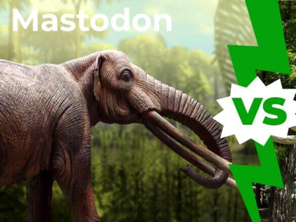 Woolly Mammoth vs Mastodon: What are the Key Differences? Woolly Mammoth vs Mastodon: What are the Key Differences?