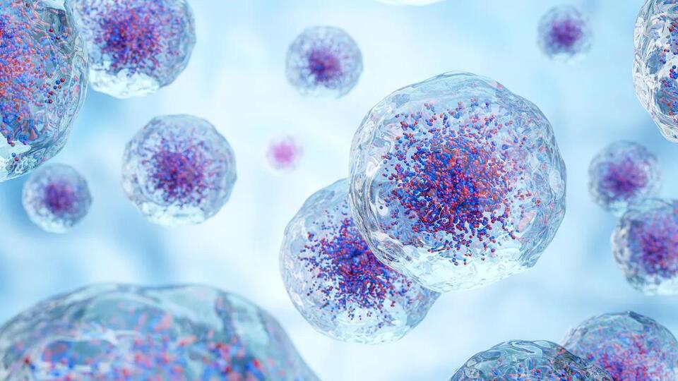 Biobots Made From Human Lung Cells May Enable More Targeted Drug ...