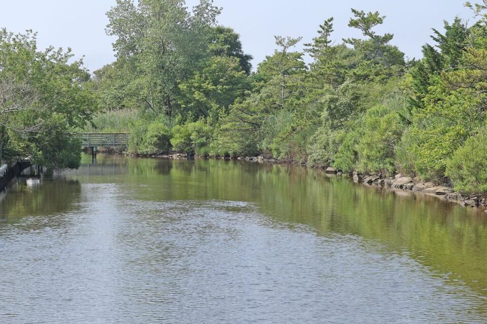 Changes to bulkhead construction coming to Bay Head - NewsBreak