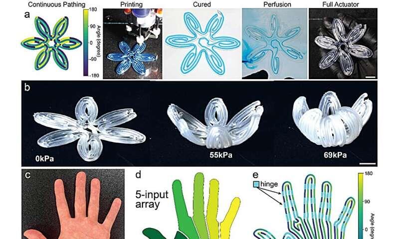 Rotating nozzle 3D printing creates air-powered soft robots with preset ...