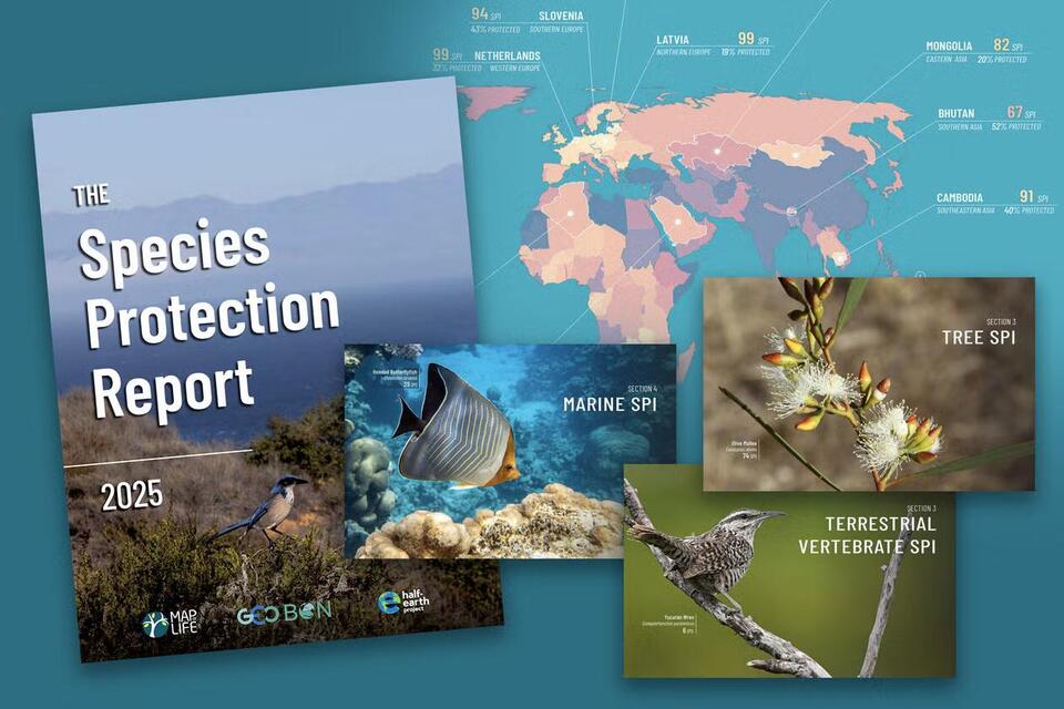 ‘Map of Life’ report reveals strides in biodiversity conservation — but ...