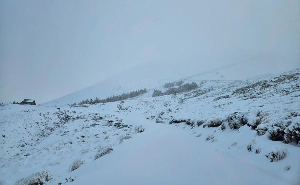 NZ’s Mt. Lyford to Open Next Thursday After 35cm Storm Brings Early ...