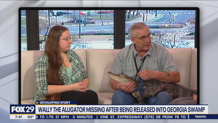 Wally the emotional support alligator stolen during Georgia vacation ...