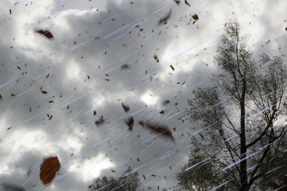 Washington Calm Weather is Fading, Wind and Rain Move In - NewsBreak