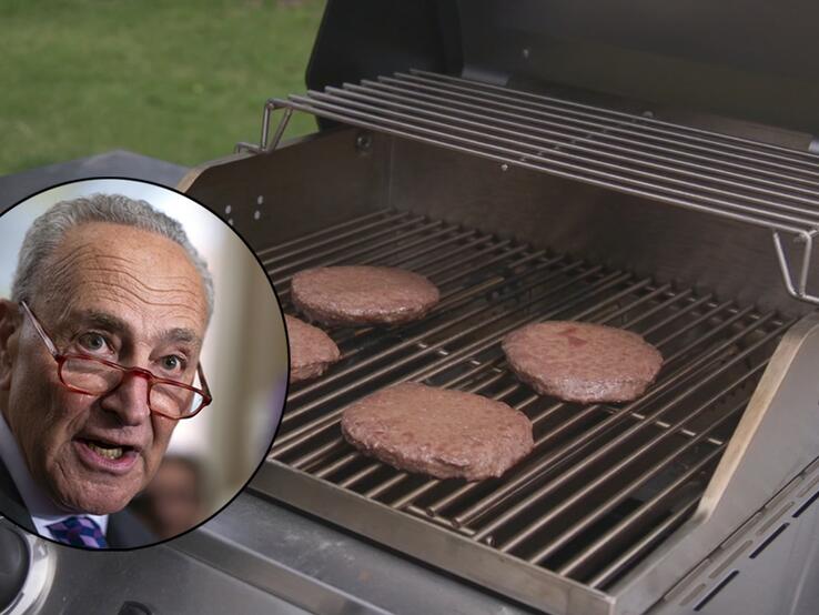 Chuck Schumer grilled over Father's Day BBQ photo: 'Obviously staged'