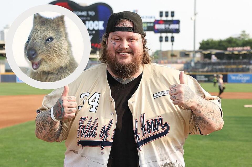 Jelly Roll Explains the Hilarious Meaning Behind His Quokka Tattoo ...