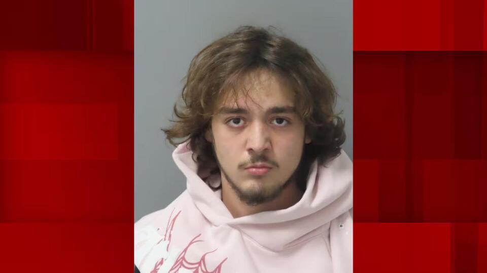 Man faces charges after St. Louis shooting that injured pregnant woman ...