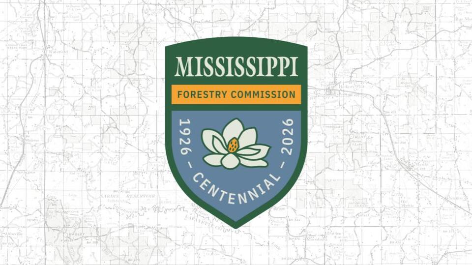 Forestry Commission to celebrate 100 years in March - NewsBreak