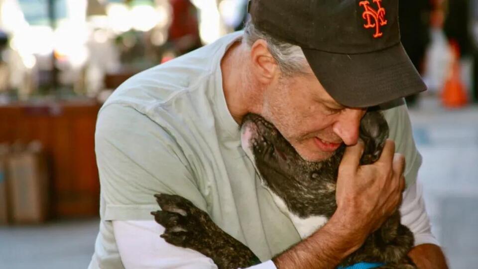 Fans Donate Nearly $50k To Animal Rescue To Honor Jon Stewart’s Late ...