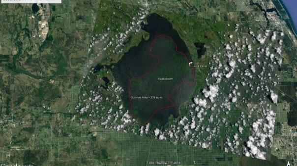Florida Lakes Lead U.S. in Pollution: Threat to Fresh Water, Wildlife ...
