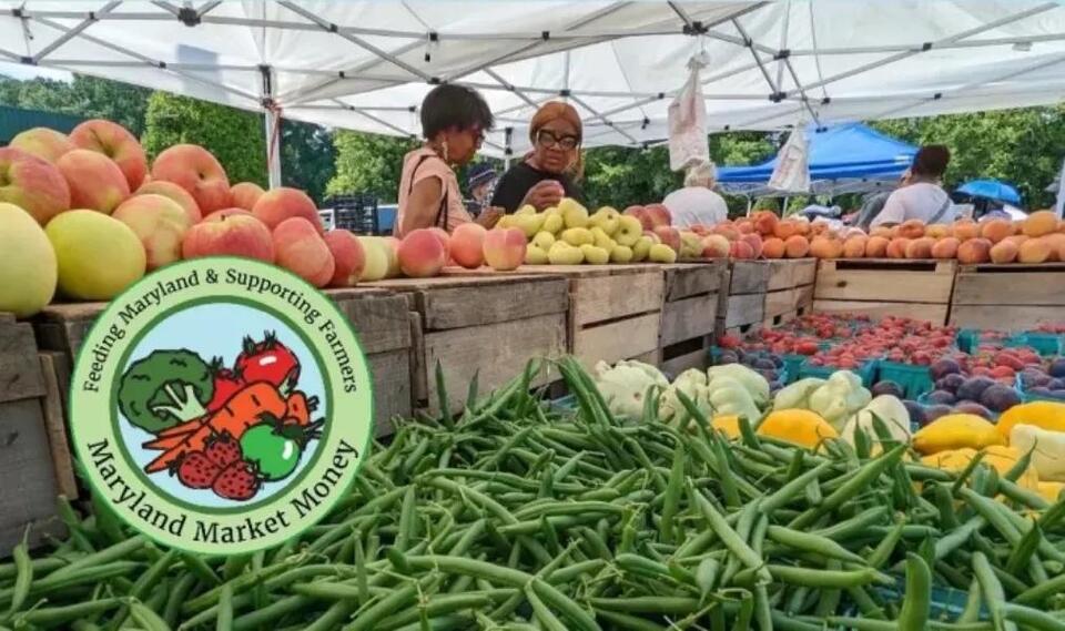 Maryland Department Of Agriculture Receives Funding To Support Maryland ...